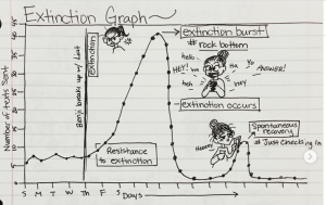 Understanding the Extinction Burst: Why Things Sometimes Get Worse ...